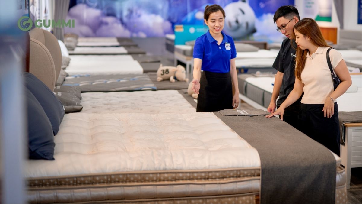 Có bao nhiêu loại nệm trên thị trường? Bảng giá các loại nệm | Gummi